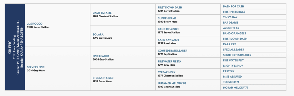 Another Jewel in Her Crown: Tonozzi and Sir Epic Reign at 2025 Colorado ...