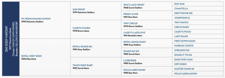 The Barrel Horses of The Governor's Cup 2025 | Sioux Falls